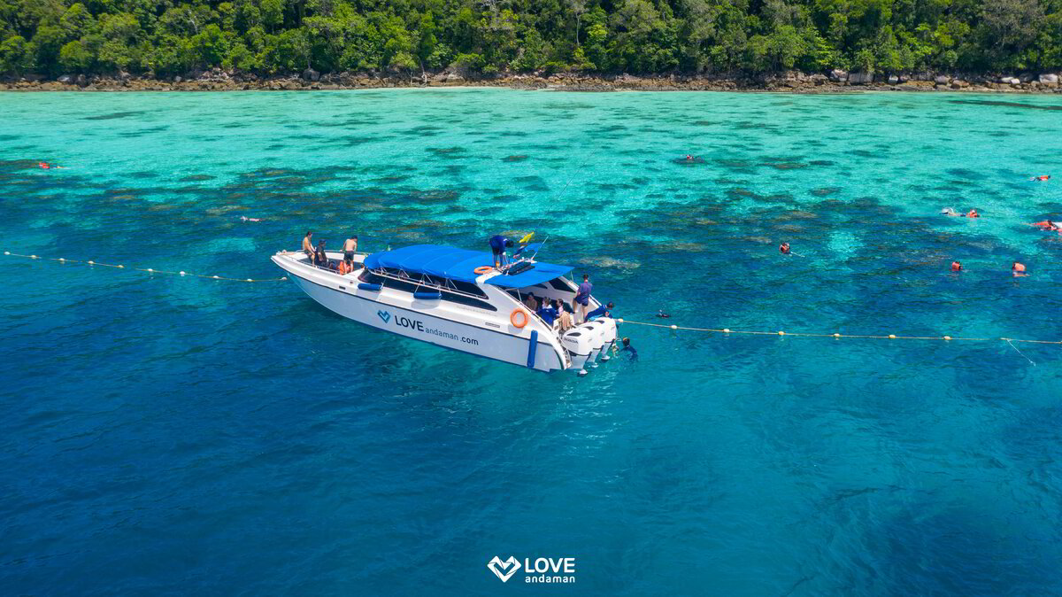 Pelago, A Travel Experiences Platform By Singapore Airlines, Opens Its ...