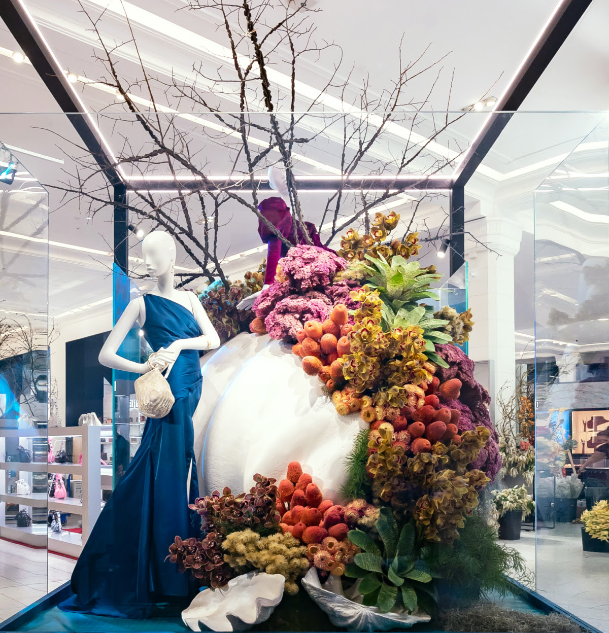 SYDNEY FLOWER SHOW – Sydney Times