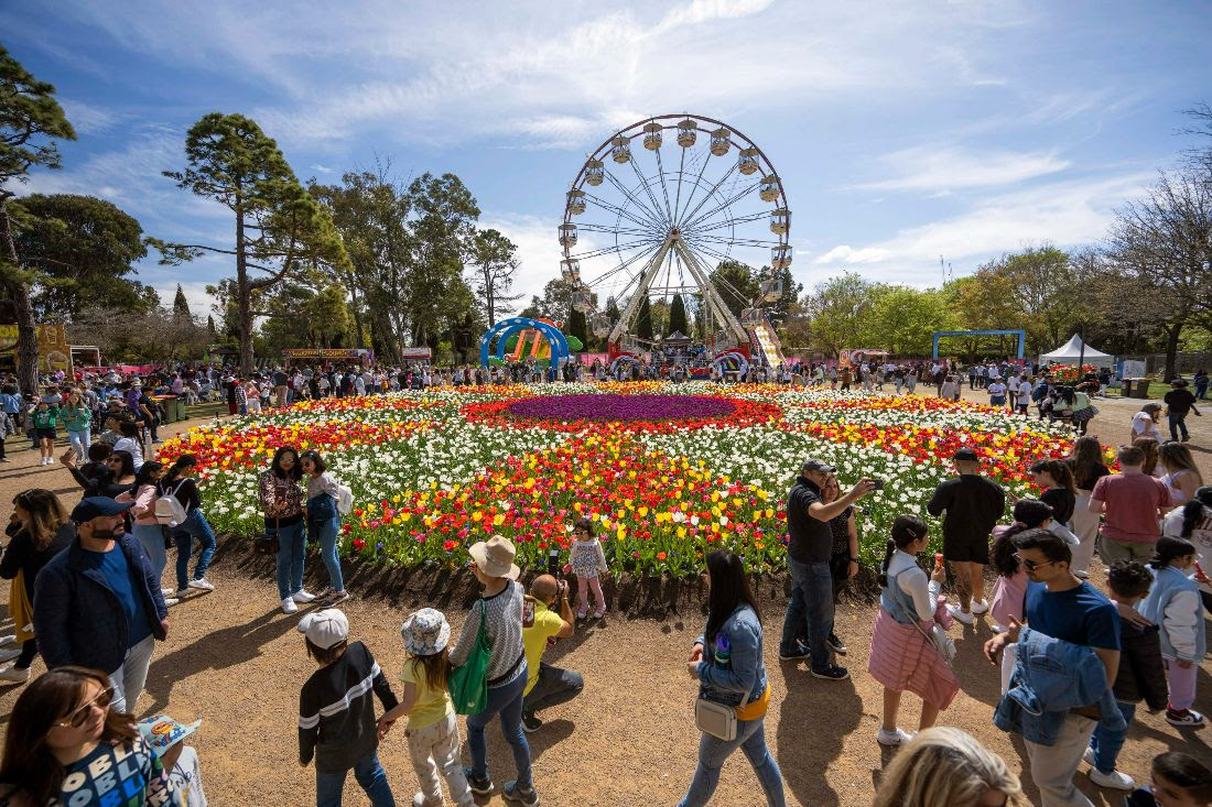 Top things not to miss at Floriade - Sydney Times