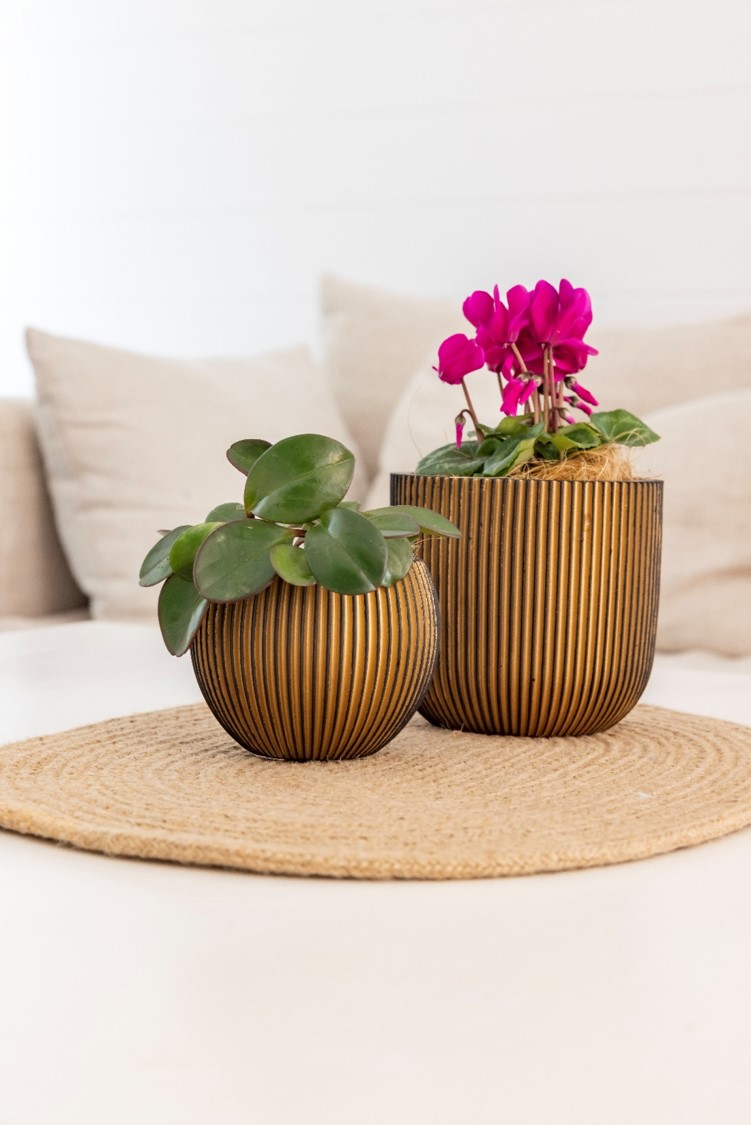 Transform Your Space with Texture and Shape-Styling tips on how to ...