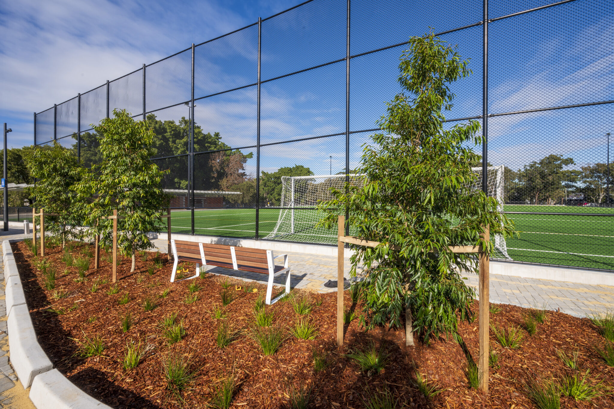 Perry Park Reborn As Sydney’s Newest Sports Hub