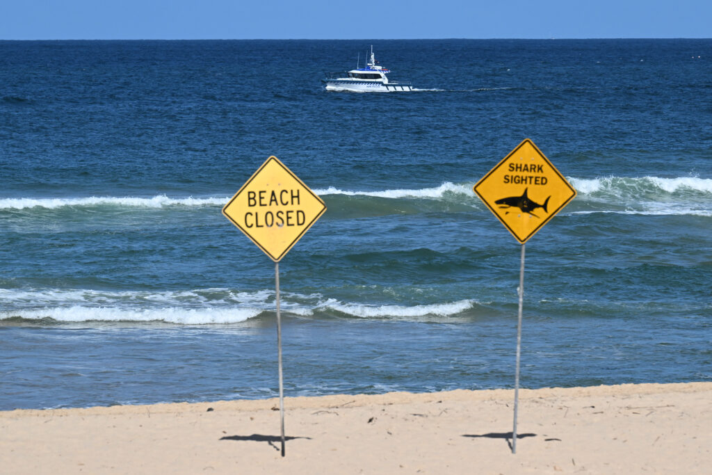 SHARK ATTACK AT NORTH STEYNE- SURFER REVIVED AFTER CARDIAC ARREST IN ...