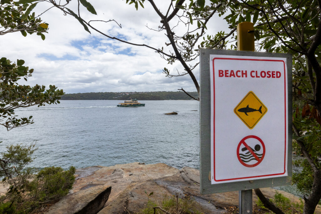 "Go To A Pool": Sydney Beaches Closed After "Perfect Storm" Of Bull ...