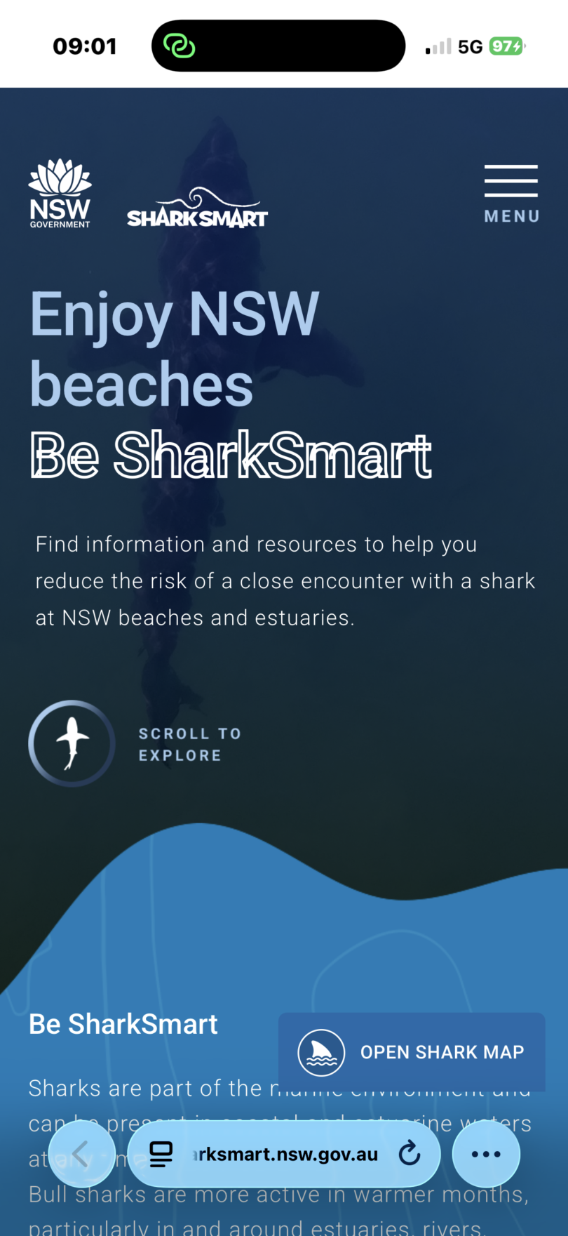 Minns Government Announces $2.5 Million Boost To Summer Beach Safety ...